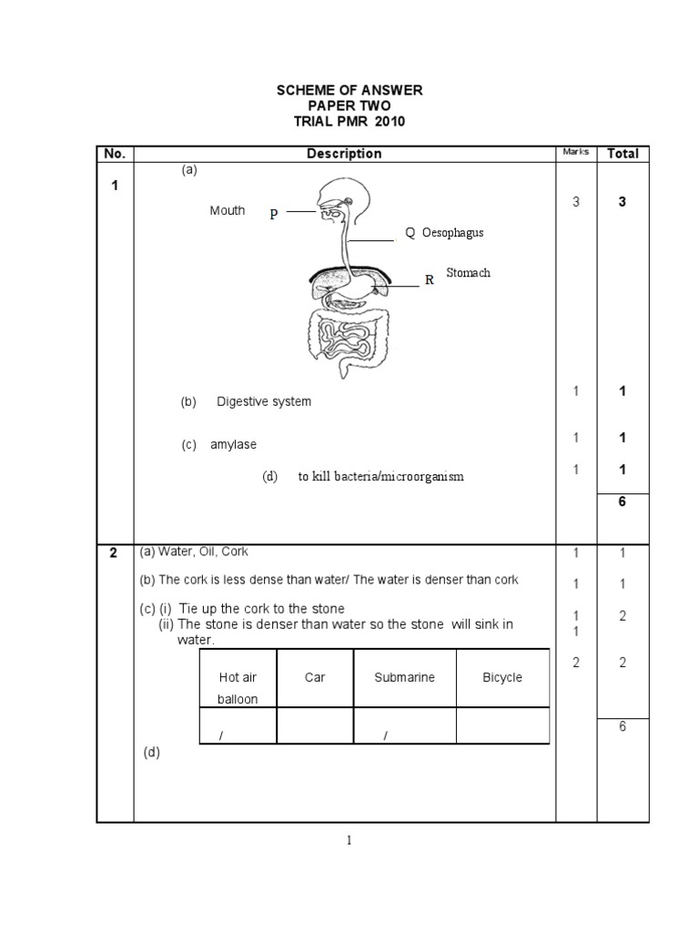 PMR 2010 Trial Paper Two Answers | PDF | Calcium | Acid