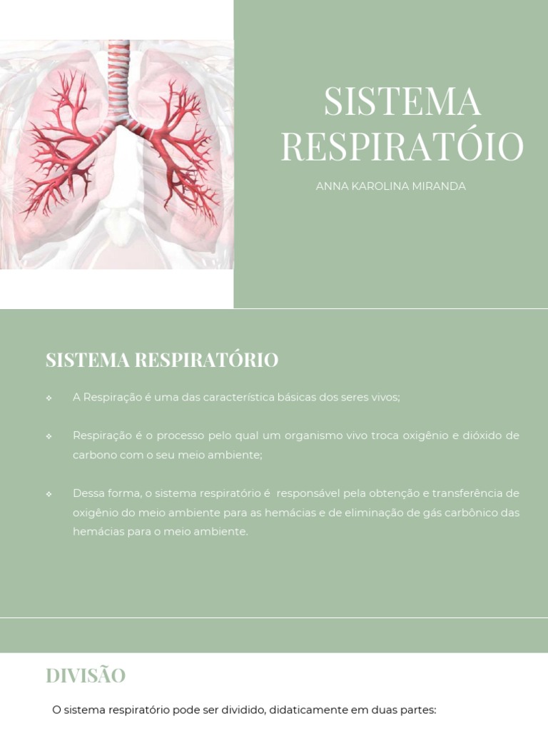 Sistema Respirat Rio | PDF