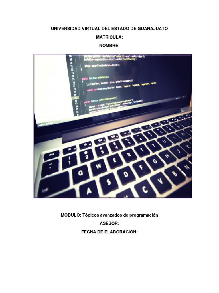 Topicos de Programacion | PDF | Java (lenguaje de programación) | Interfaces gráficas de usuario