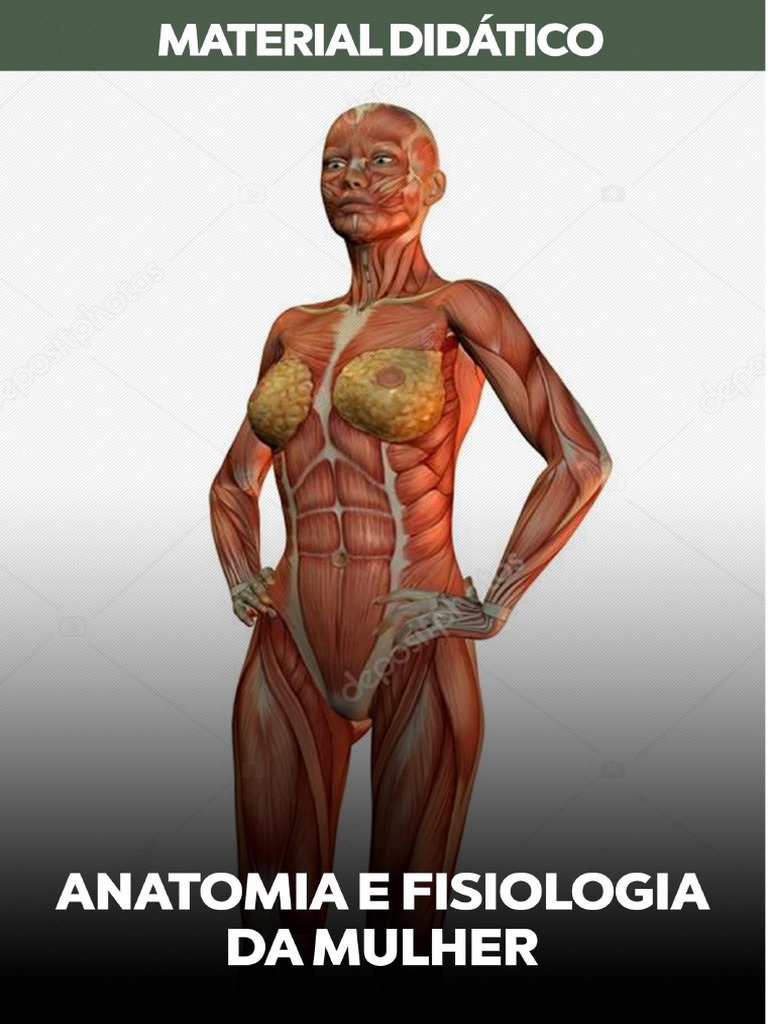 Anatomia e Fisiologia Da Mulher 1 | PDF | Ovário | Hormônio luteinizante
