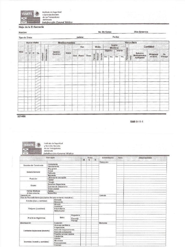 Vdocuments - MX - 2 Hoja de Enfermeria Issste | PDF