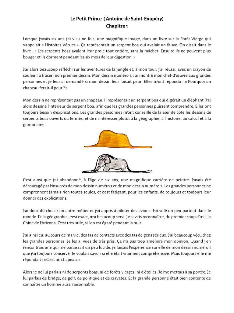 Chapitre 1 : Le Serpent Boa du Petit Prince | PDF | Le Petit Prince