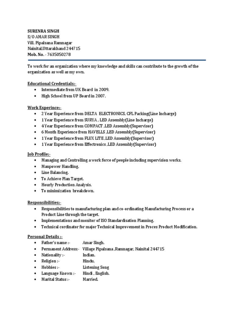 Surendra Singh's Professional Resume | PDF