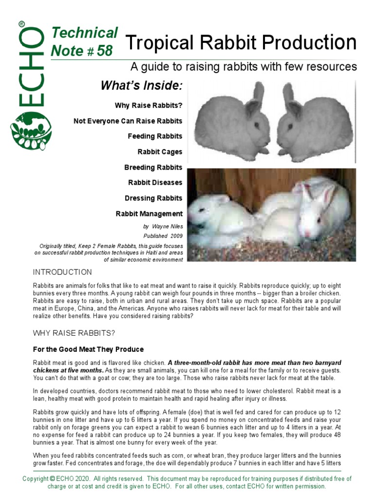 TN 58 Tropical Rabbit Production A Guide To Raising Rabbits With Few ...