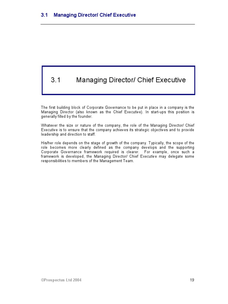 Managing Director Chief Executive | PDF