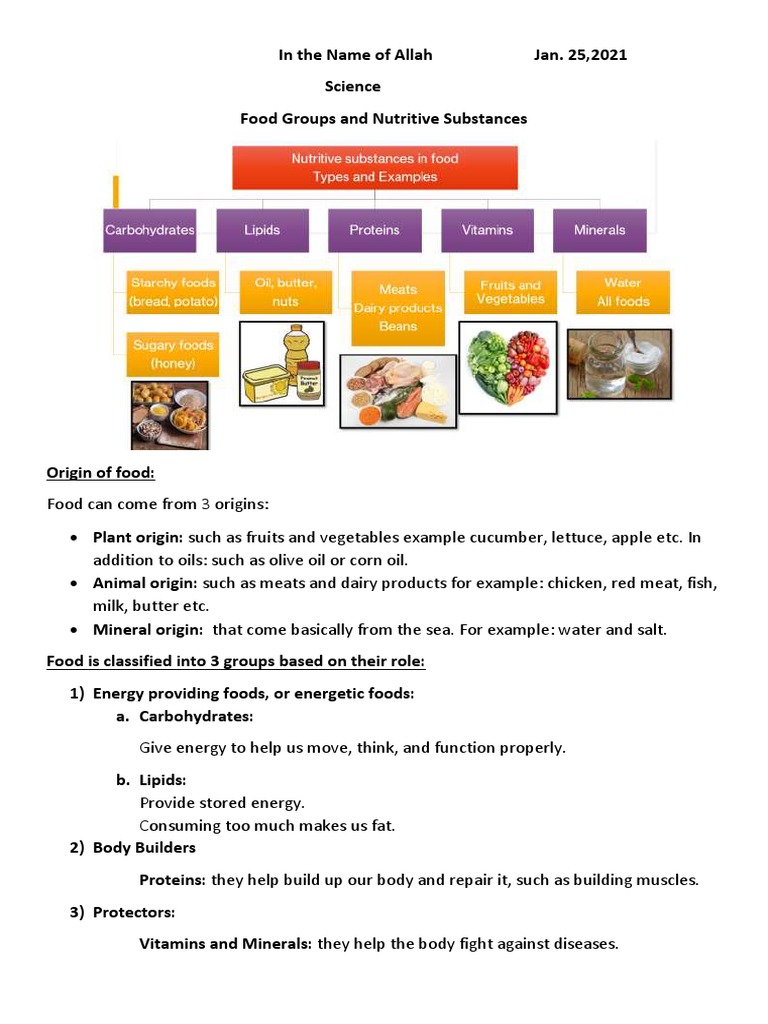 summary of food groups | PDF