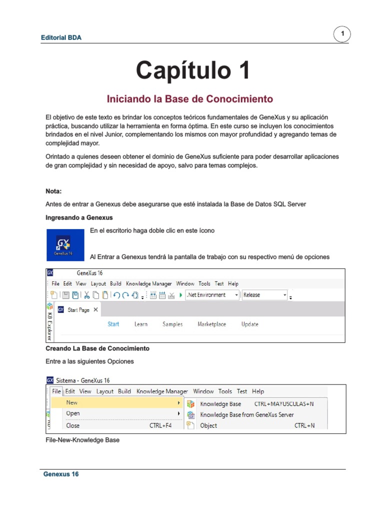 Introducción Genexus 16 | PDF