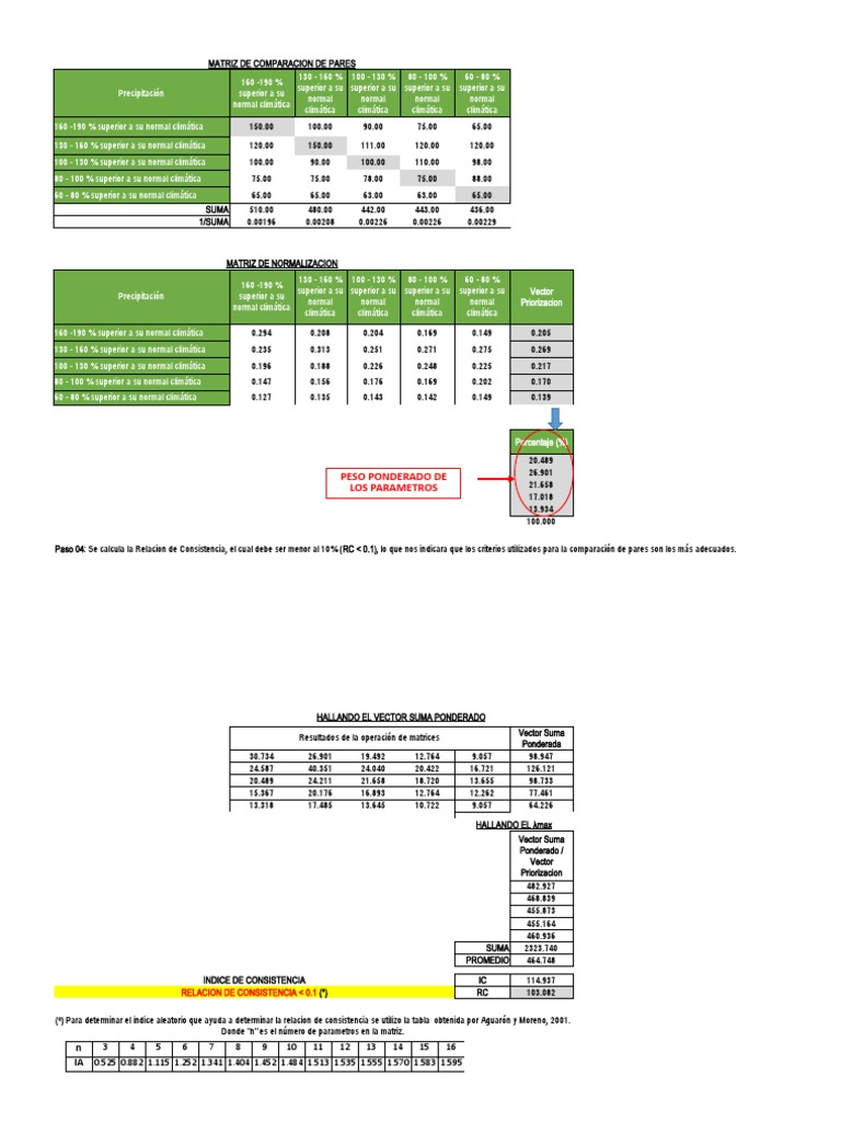 Plantilla Matriz de SAATY | PDF