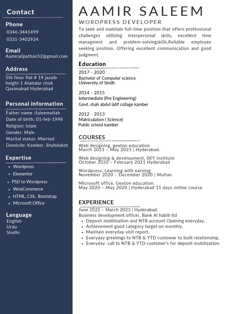 Aamir Saleem Resume | PDF