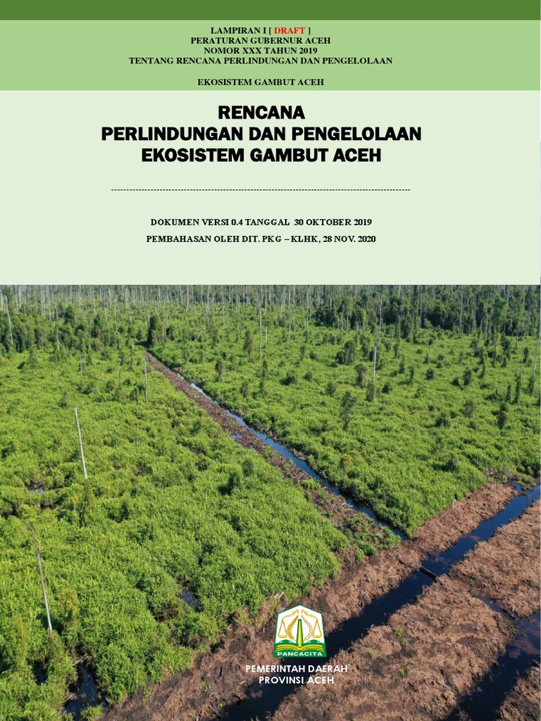 Draft Ran-Pergub RPPEG Aceh | PDF