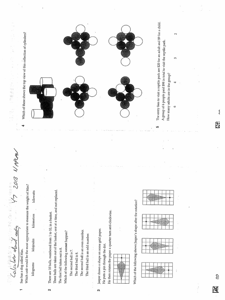 Year 7 2018 NAPLAN | PDF