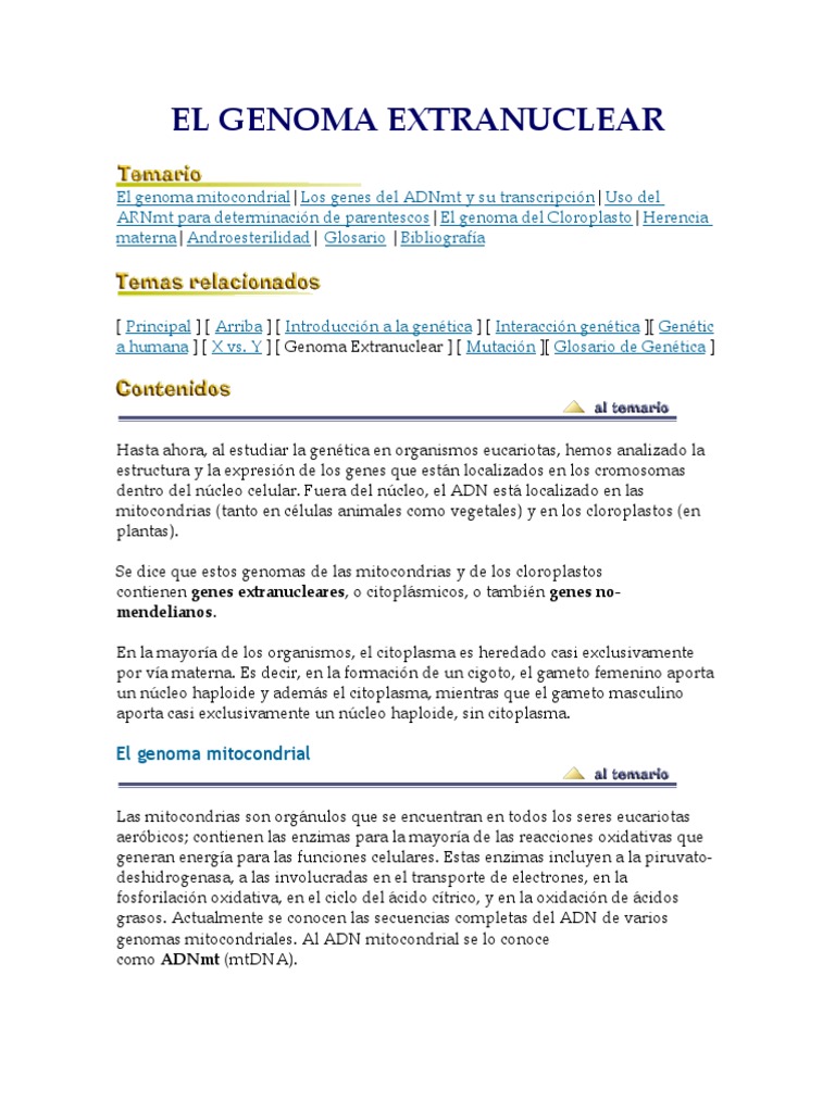 El Genoma Extranuclear | PDF | Adn mitocondrial | Ribosoma