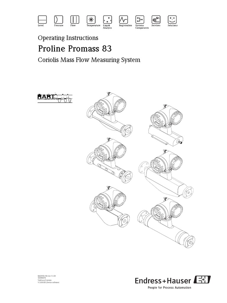 Proline Promass 83 Setup Guide | PDF | Computers