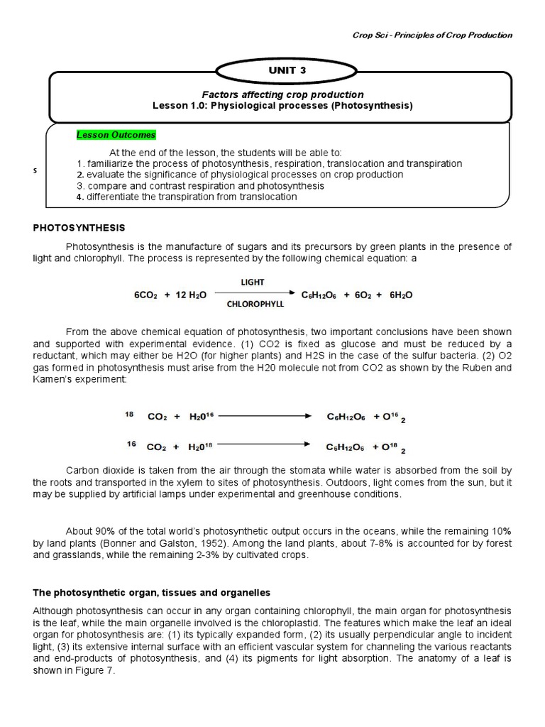 UNIT 3 - Lesson 1.0 | PDF