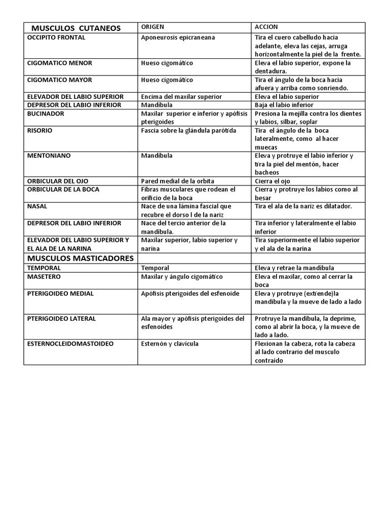 Musculos Cutaneos | Descargar gratis PDF | Rasgos faciales | Cara