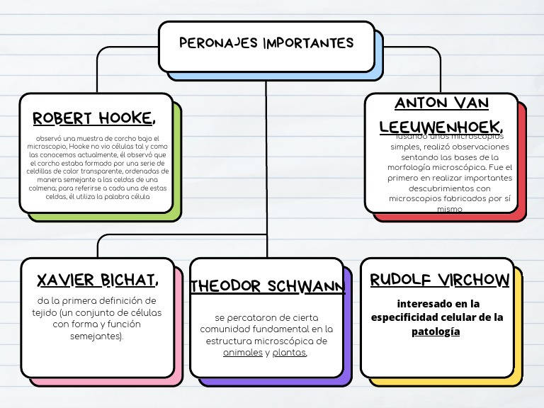 Mapa Conceptual Esquema Doodle Infantil Multicolor | PDF
