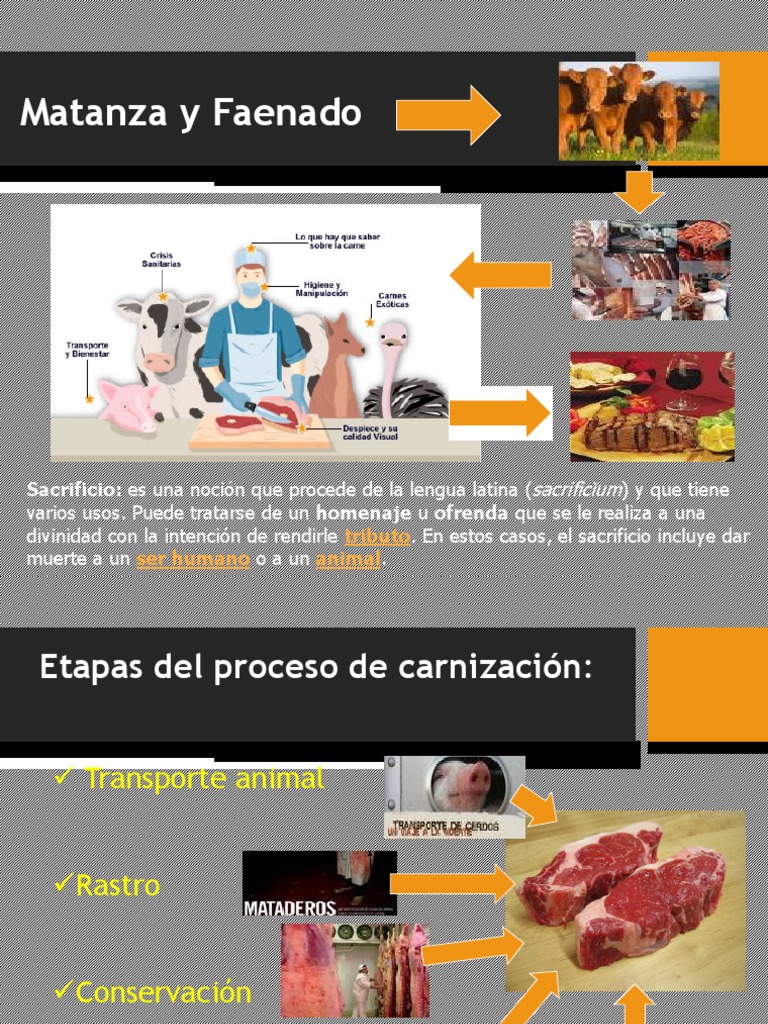 Proceso de Faenado 2020 | PDF