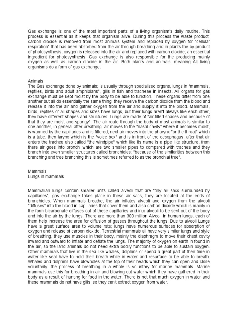 Gas Exchange in Mammals and Birds | PDF