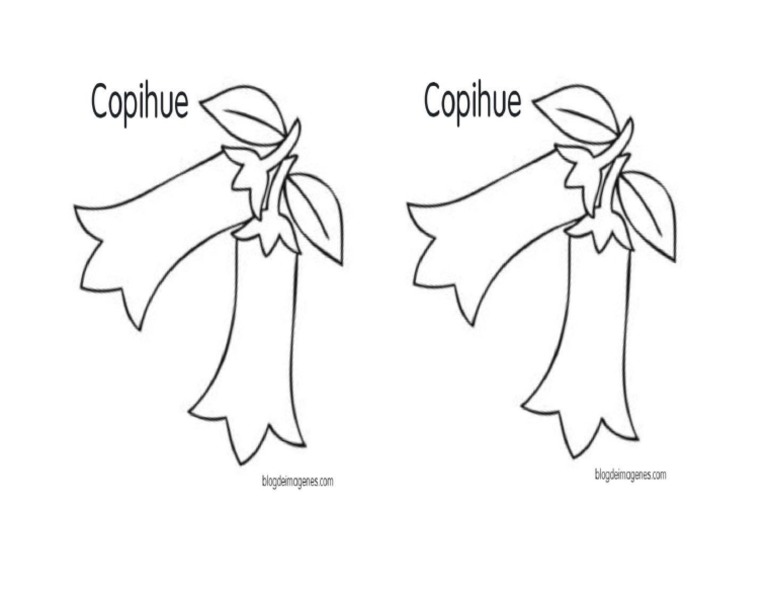 Dibujo Copihue de A Dos | PDF