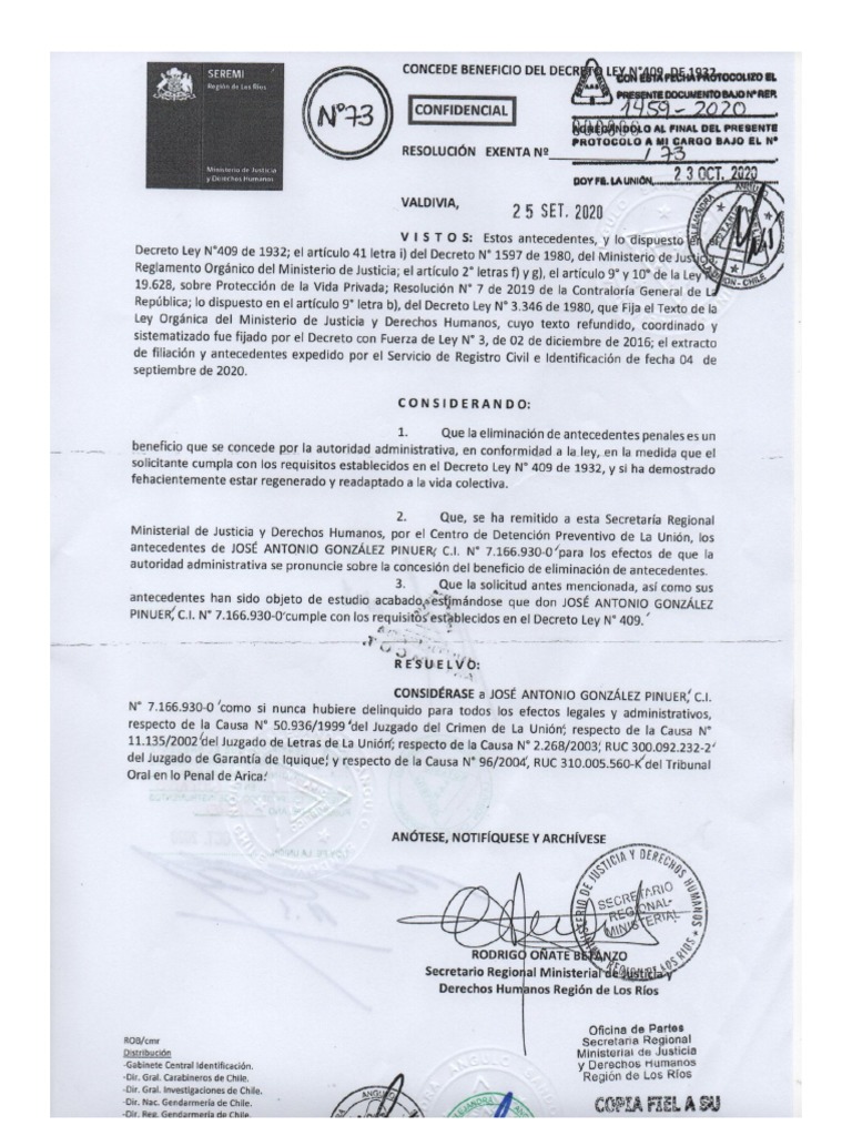 Protocolo Decreto Antecedentes Jagp | PDF