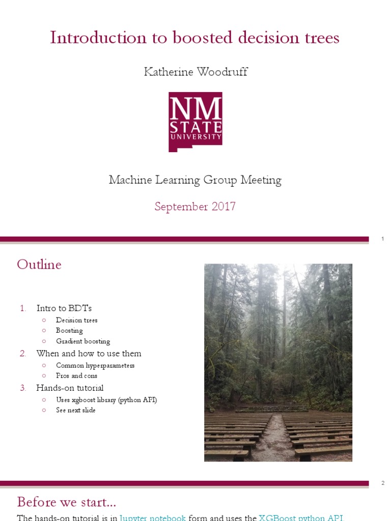 Introduction To Boosted Decision Trees: Katherine Woodruff | PDF