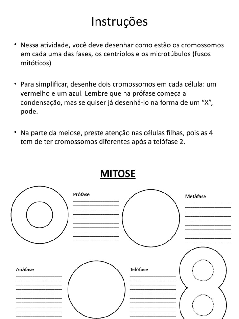 Atividade Mitose e Meiose | PDF | Meiose | Mitose