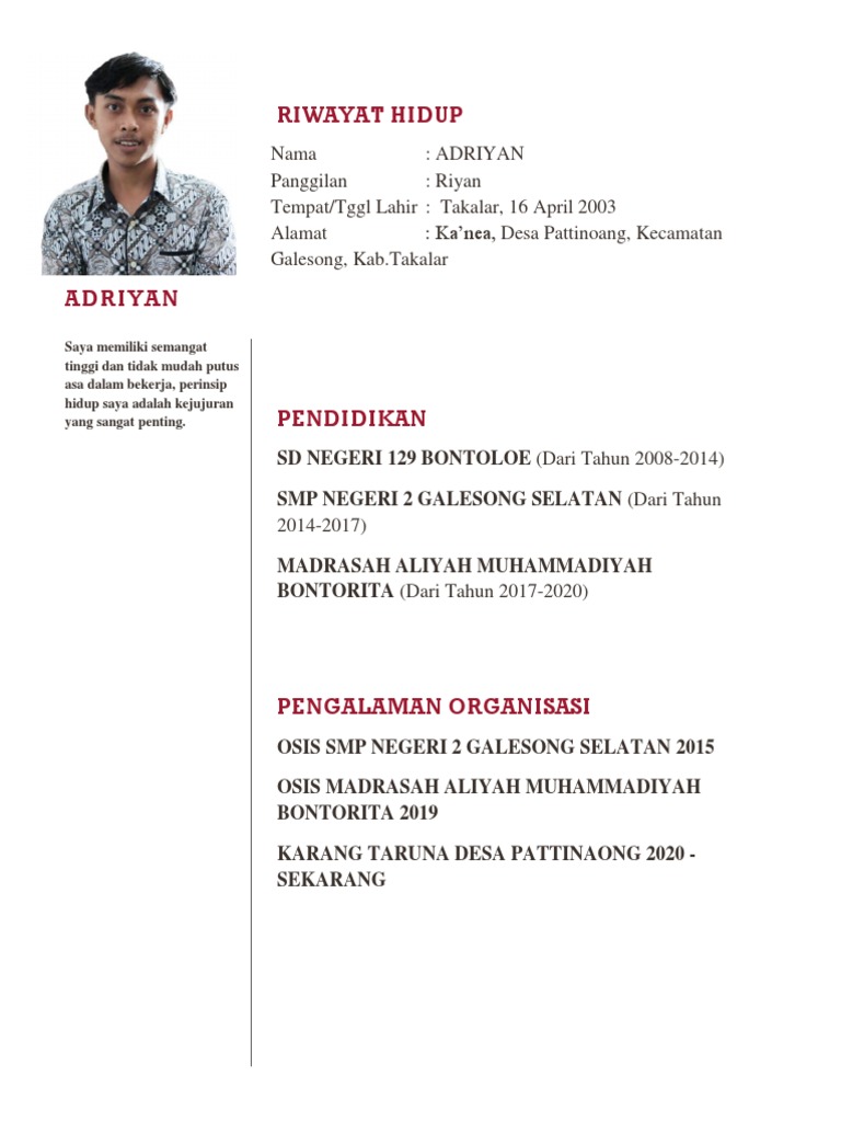 Curiculum Vitae Adrian | PDF