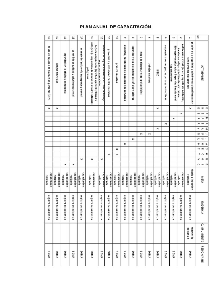 Plan Anual de Capacitación | PDF