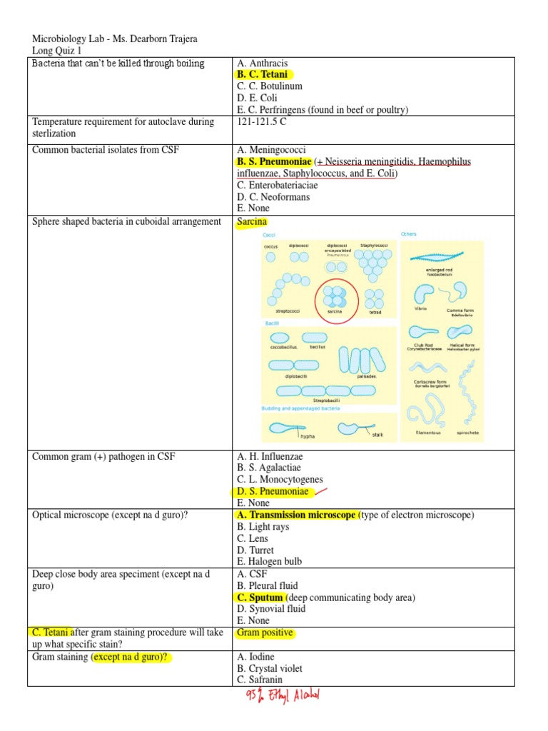 Micro Lab Q1 Ms. Trajera | PDF Micro Lab Q1 Ms. Trajera | PDF