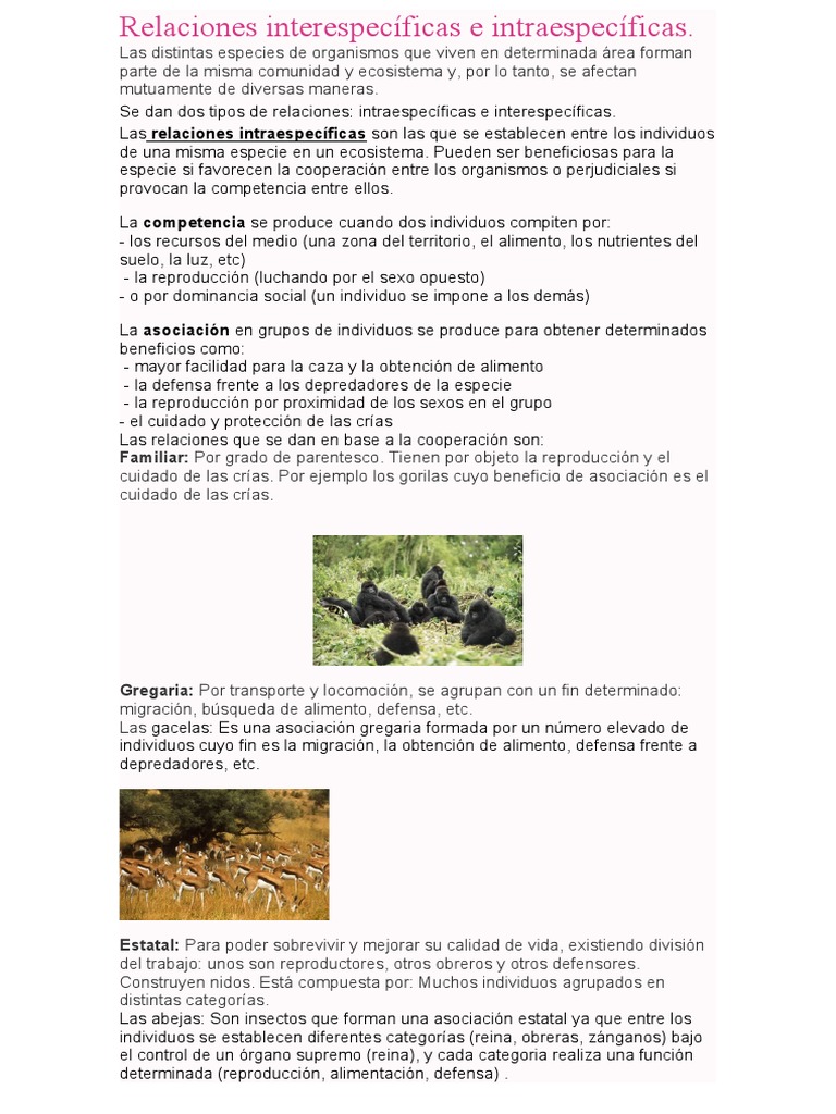 Relaciones Interespecíficas e Intraespecíficas | PDF