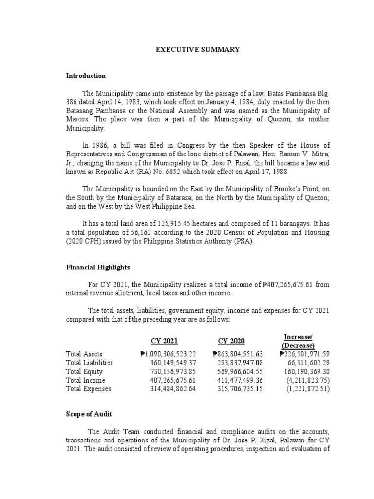 Rizal Executive Summary 2021 | PDF | Audit | Accounting
