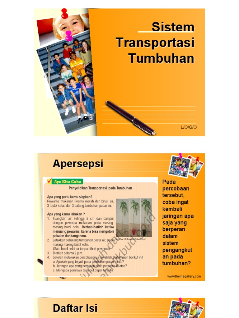 Sistem Transportasi Tumbuhan | PDF Sistem Transportasi Tumbuhan | PDF