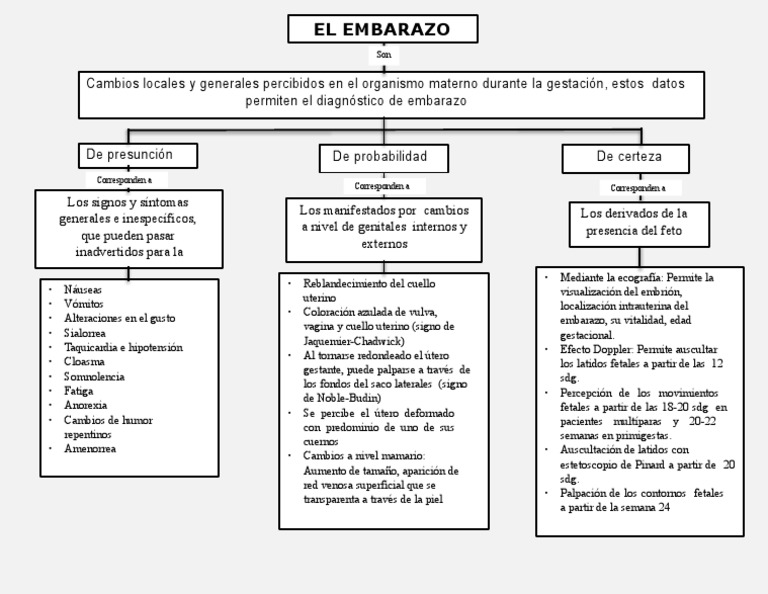 Mapa Conceptual Del Embarazo | PDF | El embarazo | Ciencias de la Salud