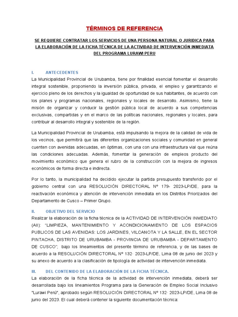 TDR Modelo-Lurawi | PDF