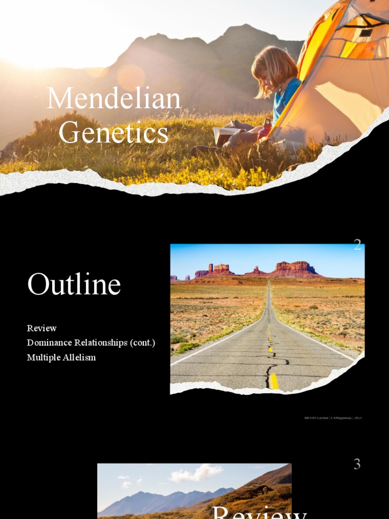 Mendelian and Non-Mendelian Genetics Overview | PDF
