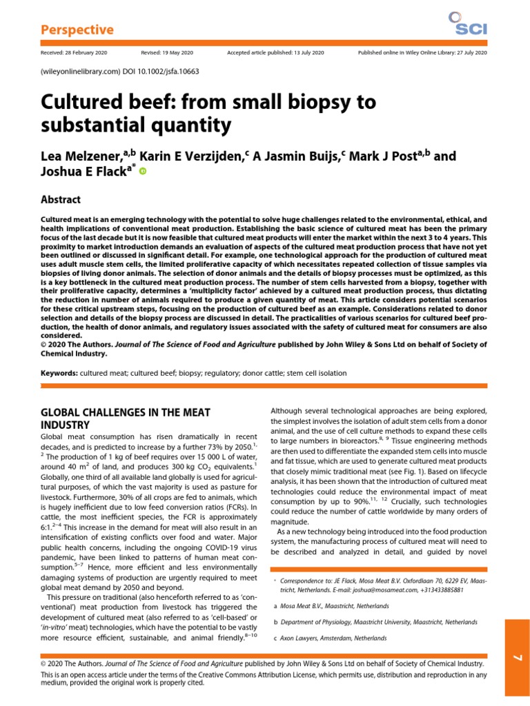 Cultured Beef From Small Biopsy To Substantial Quantity | PDF
