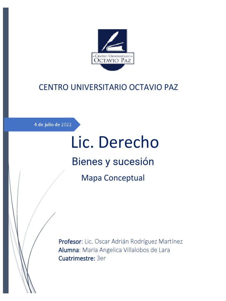 Mapa Conceptual. Bienes y Sucesión | PDF