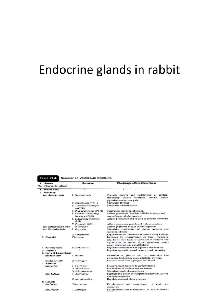 Endocrine glands in rabbit | PDF