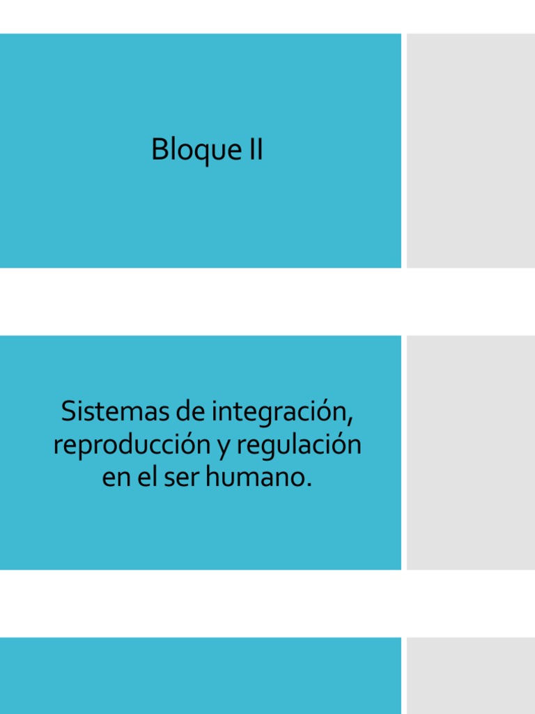 Bloque II. Sistemas de Integración, Regulación y Reproducción en El Ser Humano. | PDF