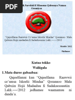 Qajeelfama Durgoo Oolmaa Final | PDF