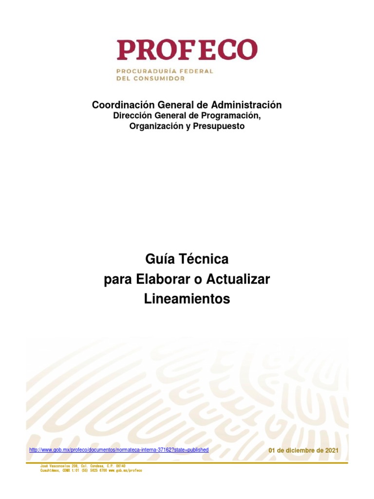 Guia Tecnica para Elaborar o Actualizar Lineamientos | PDF