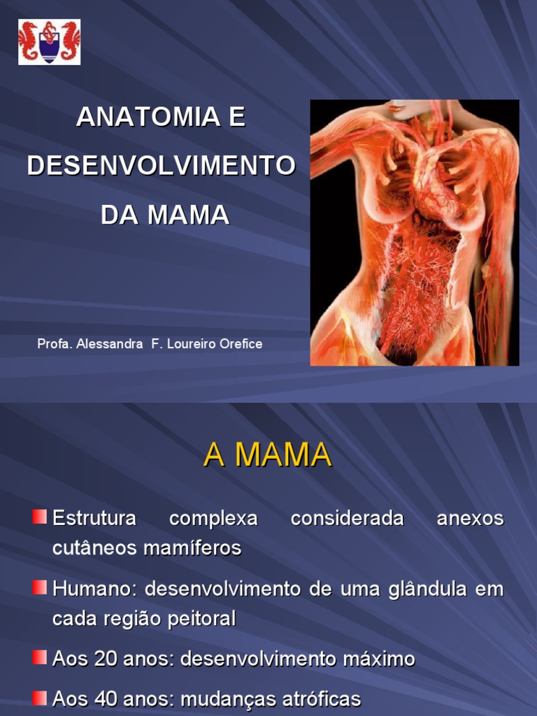Anatomia e Desenvolvimento da Mama | PDF | Seio | Anatomia animal