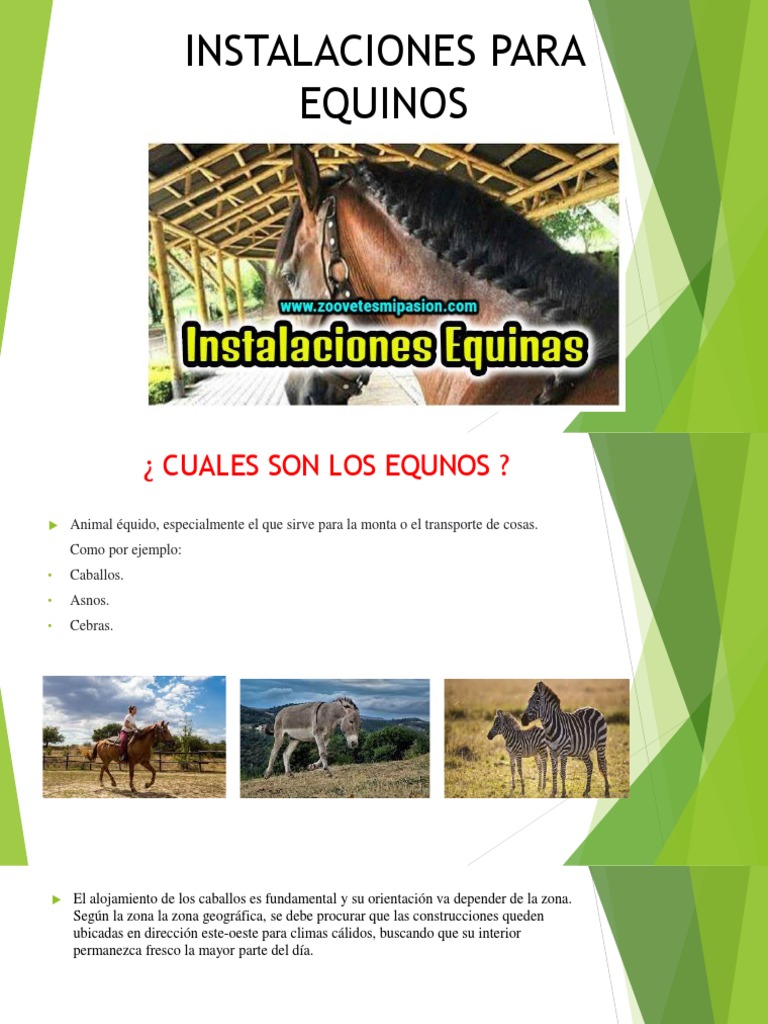 Instalaciones para Equinos | PDF