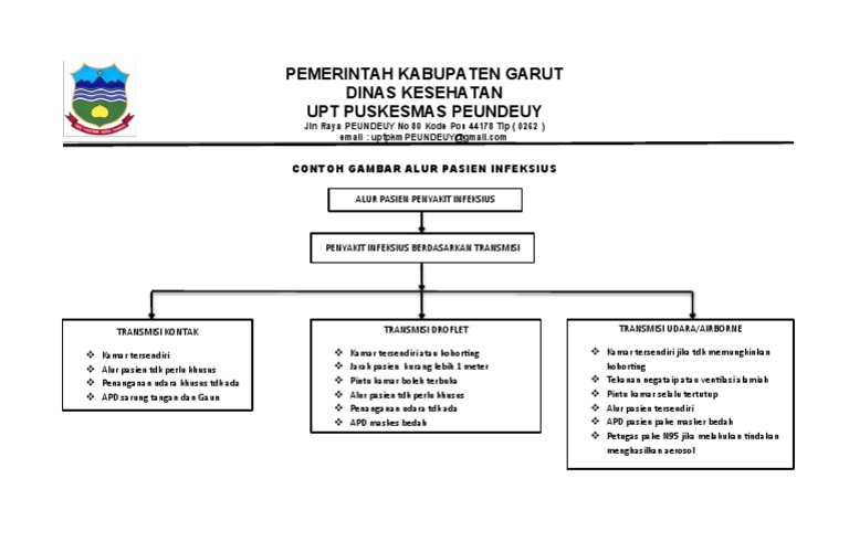Contoh Alur Pasien Infeksius | PDF