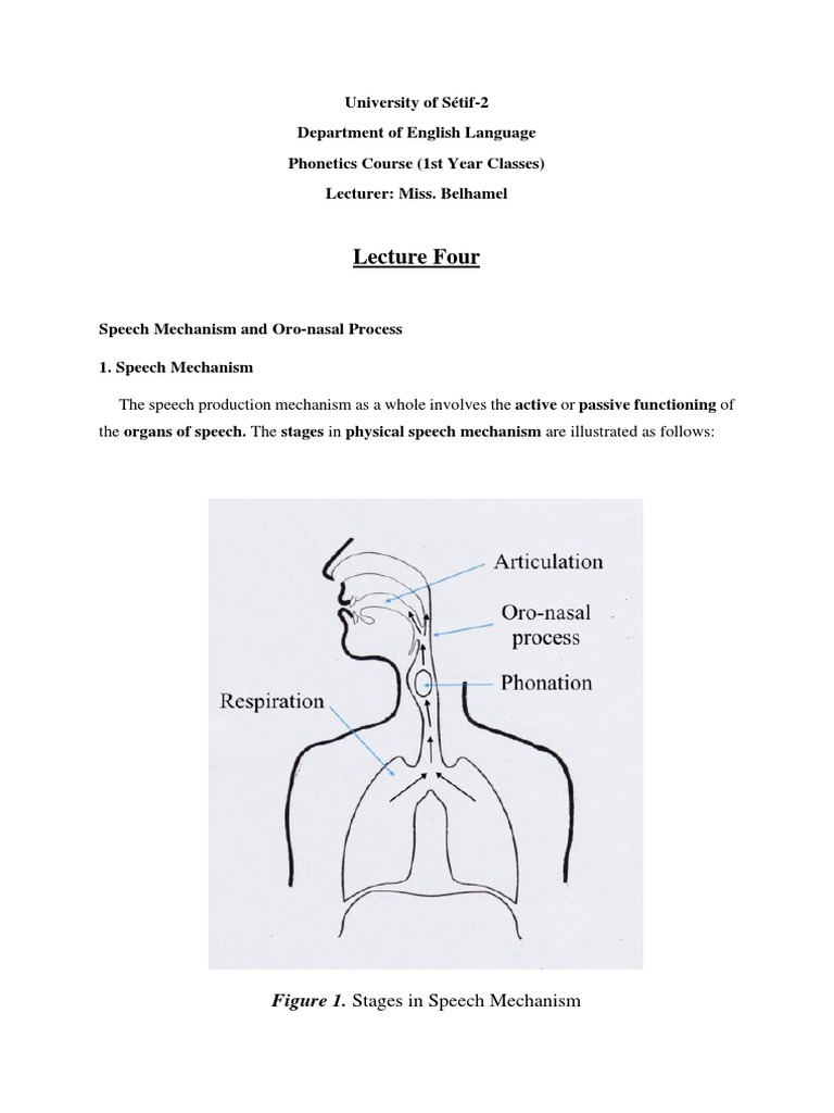 Speech Mechanism and Oro-Nasal Process | PDF