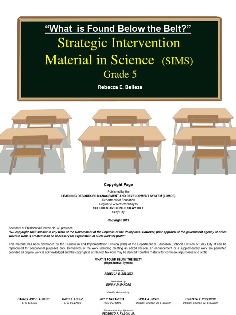 Sdo-Silay Strategic Intervention Material in Grade 5 | PDF