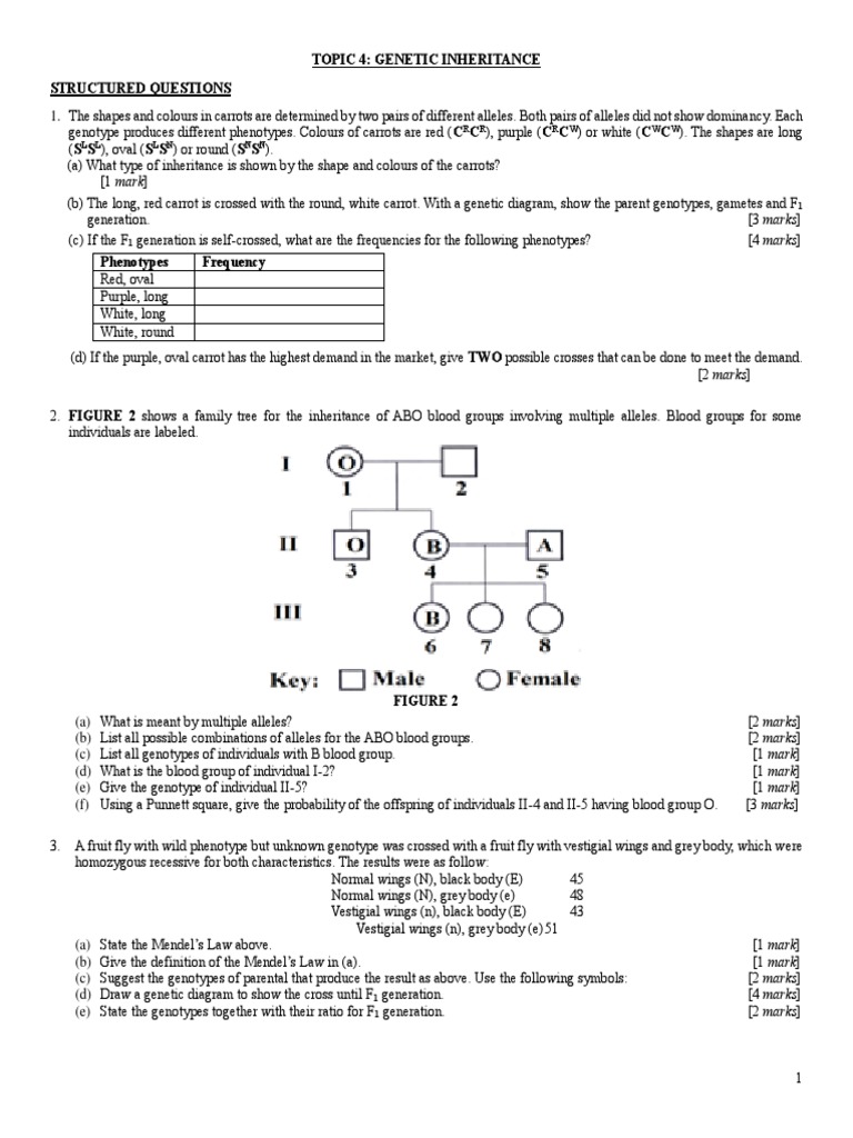Chapter 4 Genetic Inheritance | PDF | Dominance (Genetics) | Genotype