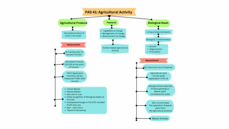 PAS 41 Concept Map | PDF