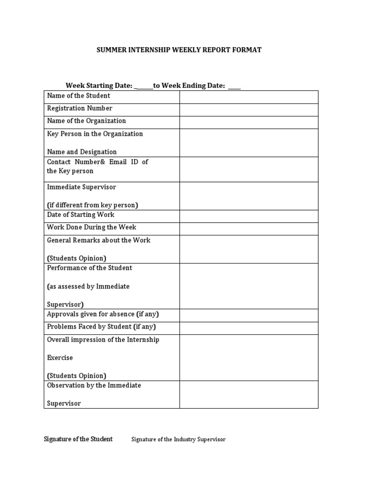 Summer Internship Weekly Report Format | PDF