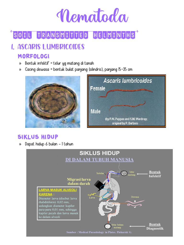 Panduan Lengkap Nematoda dan Tatalaksana | PDF | Kesehatan Holistik ...